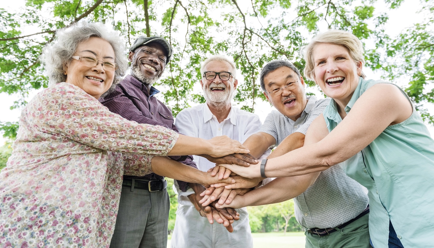 Milestone Senior Services - Southwest Michigan Services for Seniors